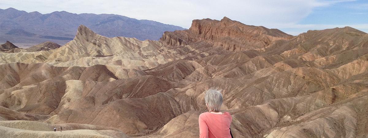 Exploring the Landscapes of Story & Telling Virtually | StoryWindow