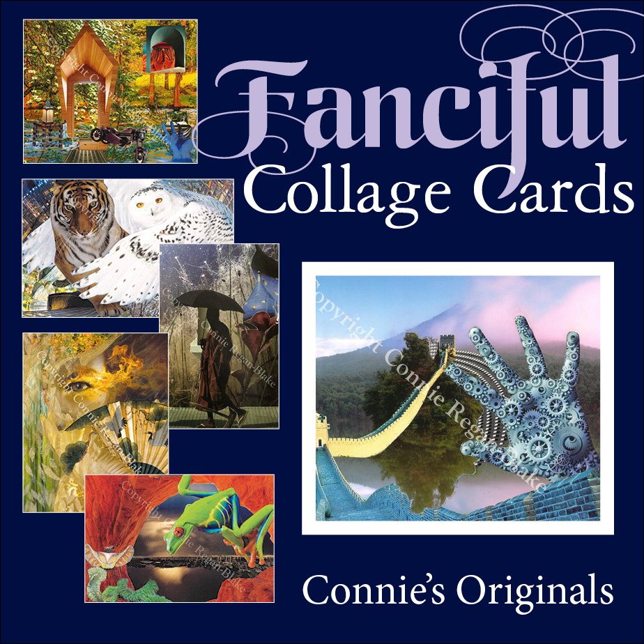 Connie’s Greeting Cards – Individual or Variety Packs | StoryWindow